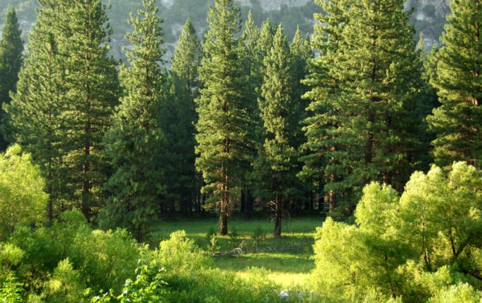 CimentArt – Microcemento | Cemento Alisado